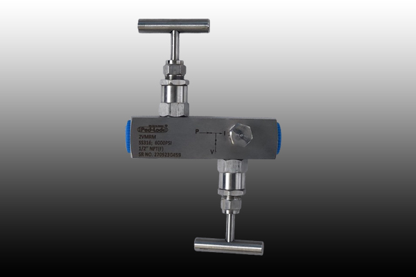 Manifold Valve Manufacturer, Supplier in Gujarat, Maharashtra ...